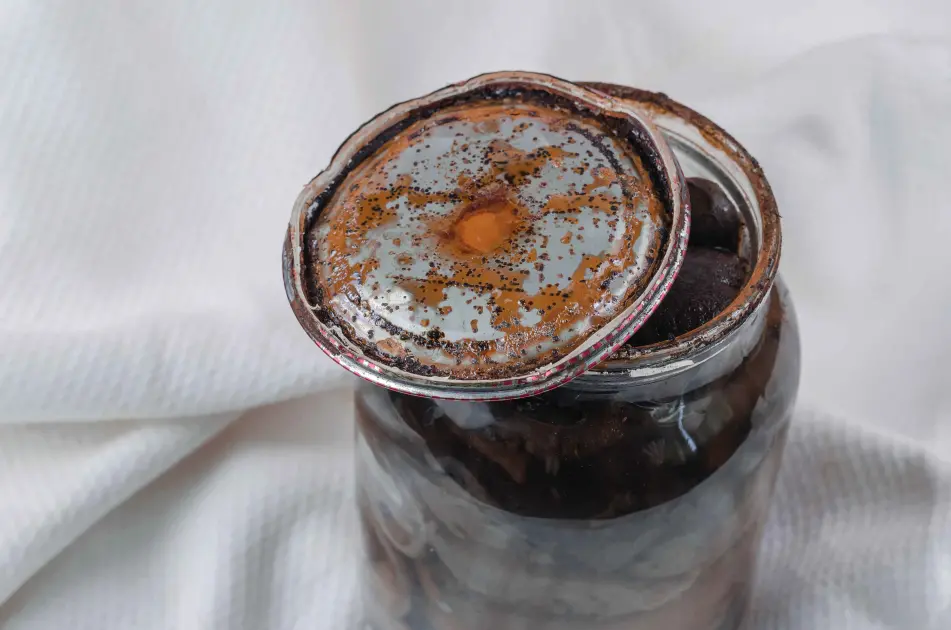 Botulismus: Symptome erkennen, richtig reagieren und vorbeugen